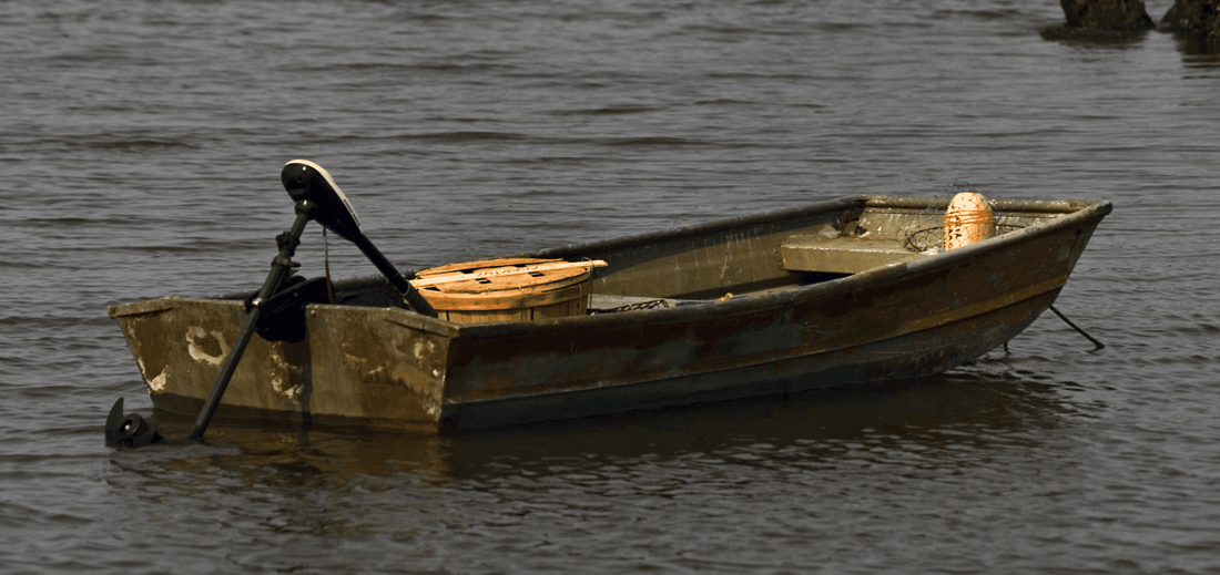 Moteur électrique bateau pour la pêche à la carpe | Magnifixcarp